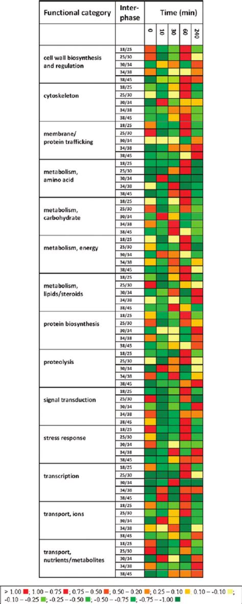 Immunodetection Of Proteins Involved In Membrane Protein Trafficking Download Scientific