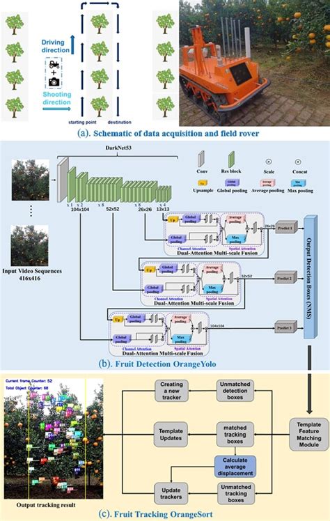 Deep Learning Based In Field Citrus Fruit Detection And Tracking Pmc