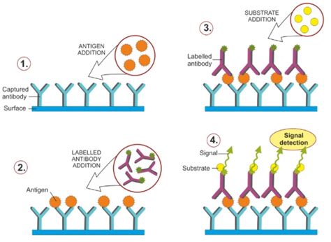 ELISA CLIA Platform Bio Mapper