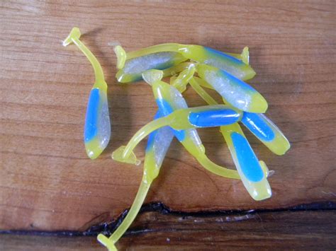 Custom Baits Forum Panfish Contest Jl3140