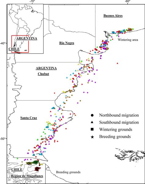 Migration Routes Of Ruddy Headed Goose Chloephaga Rubidiceps In Download Scientific Diagram