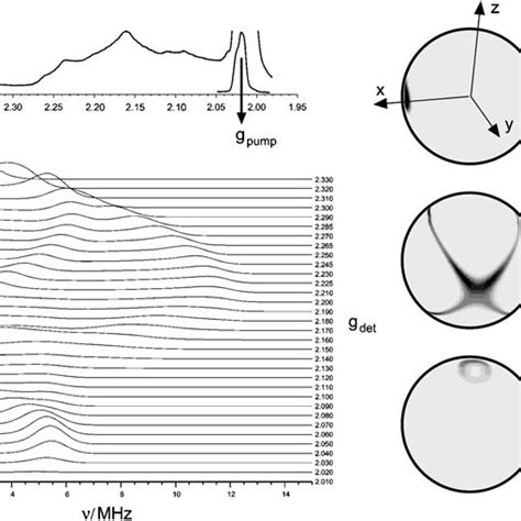 Orientation Selection Download Scientific Diagram