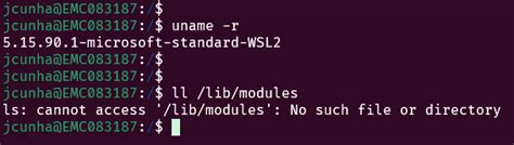 Lookup Bridge Kernel Module In Sysmodule To Enable Running On Wsl2