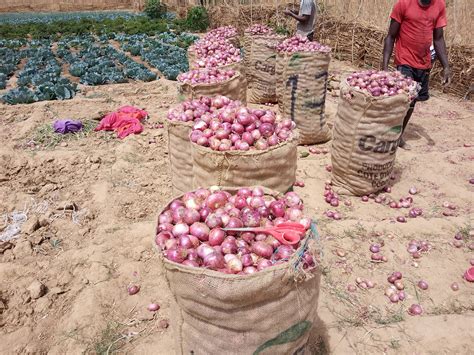 Ghana Farming Networking Added Ghana Farming Networking