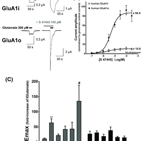 Glua1 Glua2 And Glua4 Subunits And Splice Variants Selectivity Of S Download Scientific