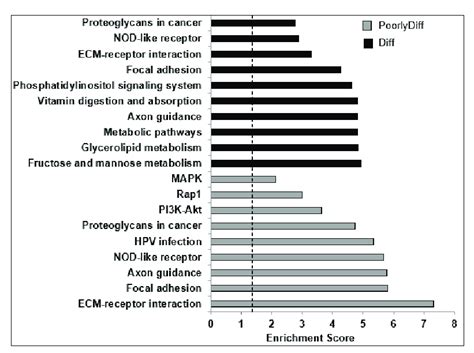 A Numbers Of Differentially Expressed Genes DEGs From RNA Seq Of Download Scientific