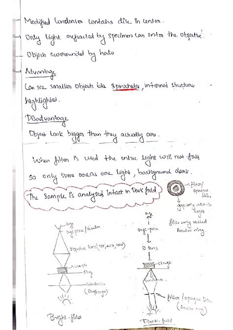Dark Field Microscopy Edubirdie