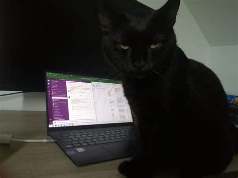 Why I Vacuum My Tables Regularly Part 2 By Batcat Medium