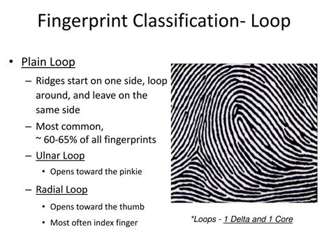 Ppt Fingerprints Powerpoint Presentation Free Download Id3930838
