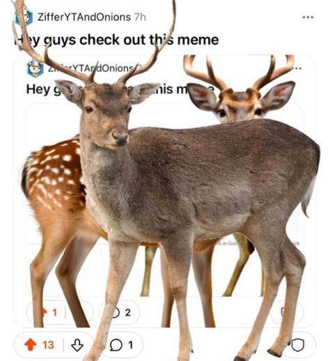 hey guys check out this meme r opaquedeerclear