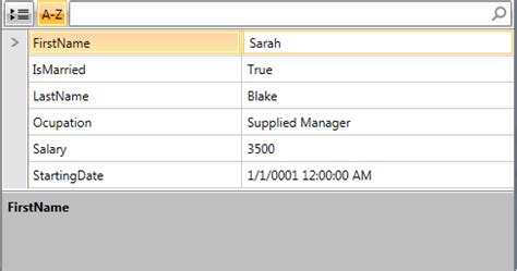 Wpf Propertygrid Edit Modes Telerik Ui For Wpf