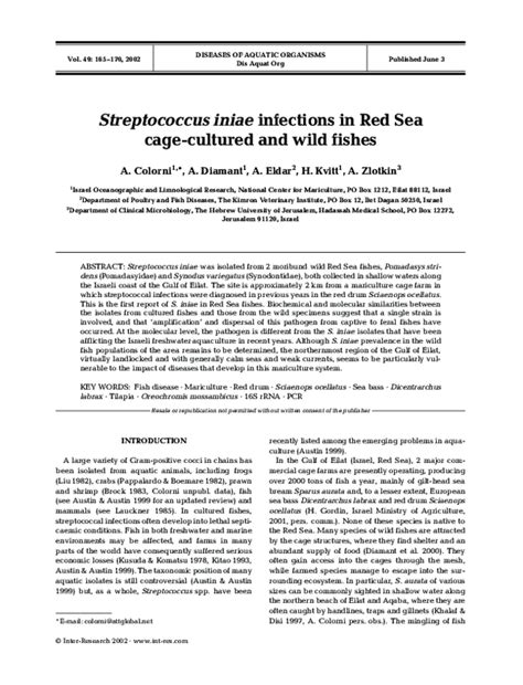 Pdf Streptococcus Iniae Infections In Red Sea Cage Cultured And Wild