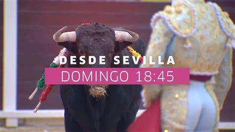 Canal Sur Emite Desde La Maestranza La Gran Final Del Circuito De