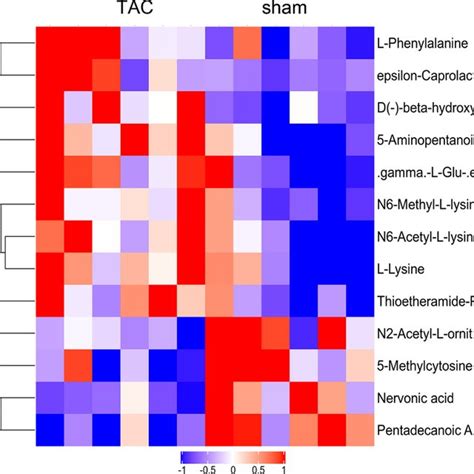 Unsupervised Hierarchical Clustering Heat Map Of Metabolites Obtained