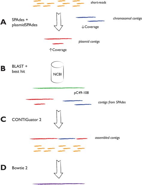 The Plasmid Assembly Method Short Reads From Each Isolate Are De Novo