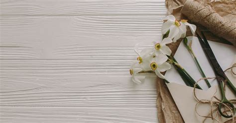 공예 봉투와 가위에 있는 아름다운 수선화 텍스트를 위한 공간이 있는 흰색 소박한 나무 배경에 꼬기 해피 어머니의 날 행복한 여성의 날 사진 Unsplash의 템