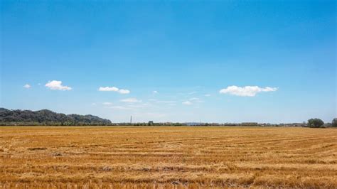 Malaysian Assimilation Or Multiculturalism Aziff A