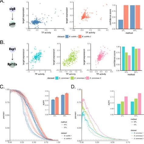 Multitask Learning Improves Accuracy Of Inferred Networks Download