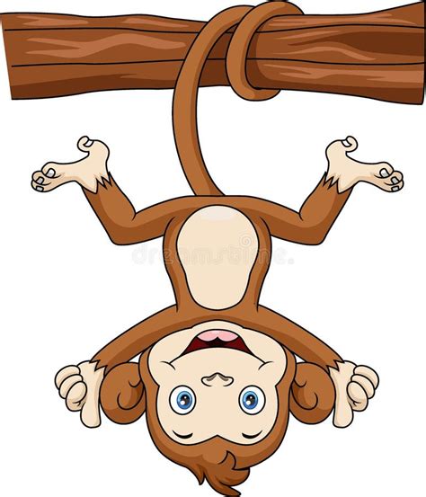 Cute Monkey Cartoon Hanging In Tree Branch Stock Vector Illustration Of Cheerful Mammal