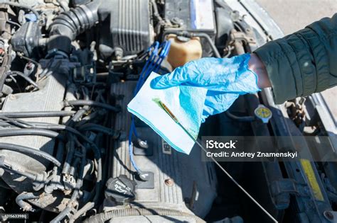 자동차 엔진의 오일 레벨을 확인하는 자동차 정비사 클로즈업 검사 보기에 대한 스톡 사진 및 기타 이미지 검사 보기 엔진 오일 차 Istock