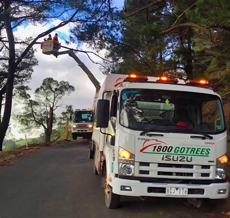 Cherry Picker Hire Call 1800 Go Trees