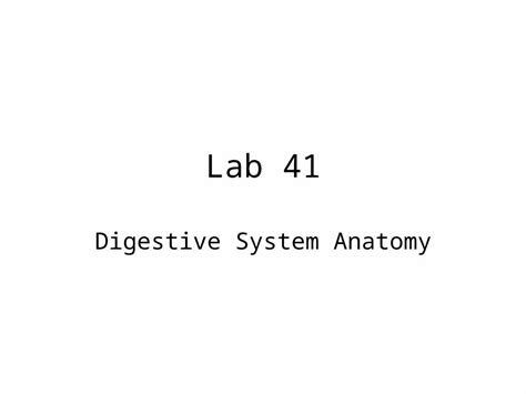 Ppt Lab 41 Digestive System Anatomy For Lab Practical 2 Be Able To Identify The Following
