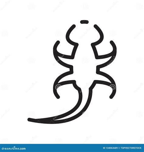Lizard Icon Vector Isolated On White Background Lizard Sign Line Symbol Or Linear Element
