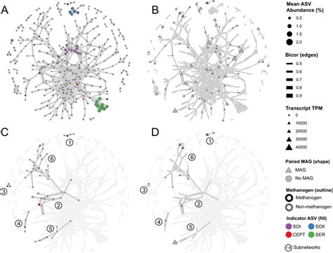 A Weighted Co Occurrence Network Of The Microbial Community Depicting Download Scientific