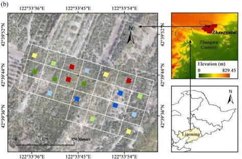Ground Penetrating Radar Reveals Optimal Tree Density To Combat Desertification In Chinas
