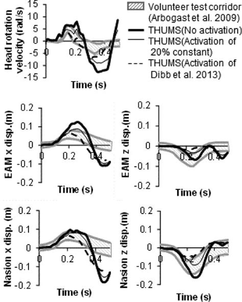 Parametric Simulations To Investigate Effect Of Muscle Activation On