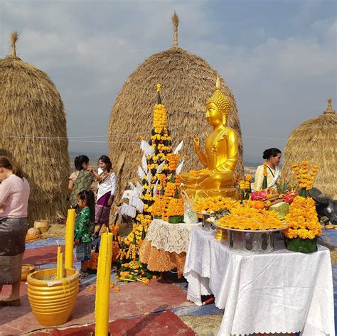 ພະແນກກະສິກຳ ແລະ ພະແນກກະສິກຳ ແລະ ປ່າໄມ້ແຂວງຊຽງຂວາງ