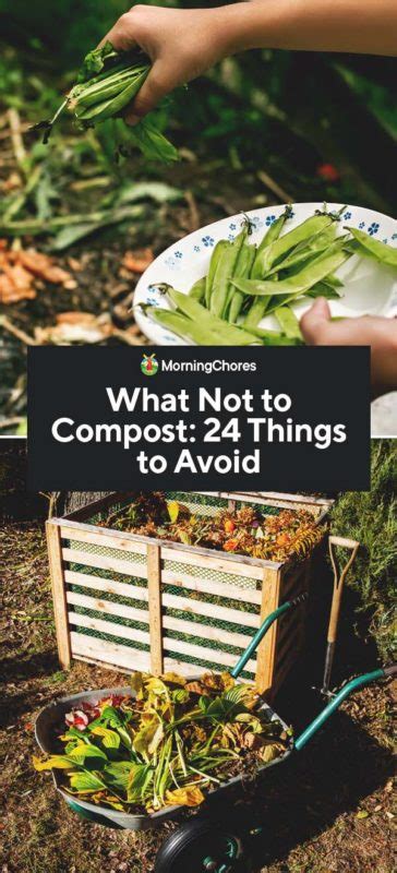 24 Things To You Should Not Throw Into The Compost Bin