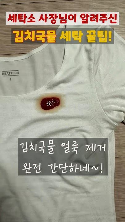 세탁소 사장님이 알려주신 김치국물 얼룩 제거법 세탁꿀팁 Shorts 살림팁 살림노하우 Youtube