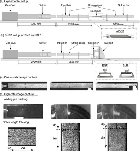 Graphical Demonstration Of A The Experimental Setup B The Download Scientific Diagram