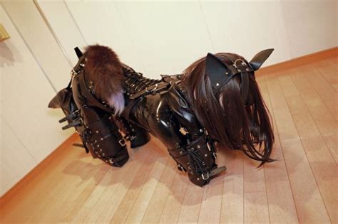 Perfect Japanese Pet Dragonzombie Perfect Japanese Pet Dragonzombie