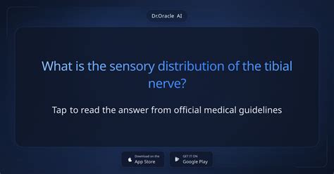 What Is The Sensory Distribution Of The Tibial Nerve