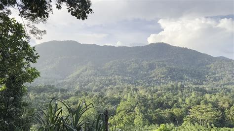 theekshani jayasundera on linkedin believe this is a paradise to inhale fresh air and to