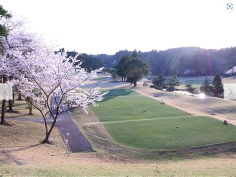 일본 나리타히가시cc And 나리타노모리cc 골프패키지매일오전출발