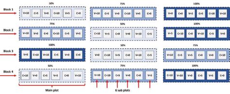 A Schematic Design Of The Experiment Experiments Were Designed As The