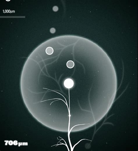 Дайджест Naked Science