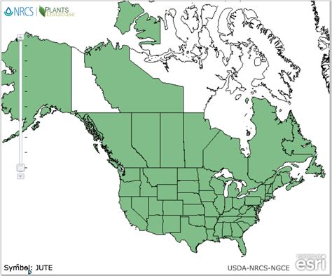 Path Rush Pawnee Buttes Seed Inc