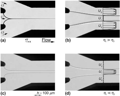 Figure 2 From Formation Of Miscible Fluid Microstructures By Hydrodynamic Focusing In Plane