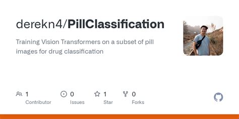 Github Derekn4pillclassification Training Vision Transformers On A