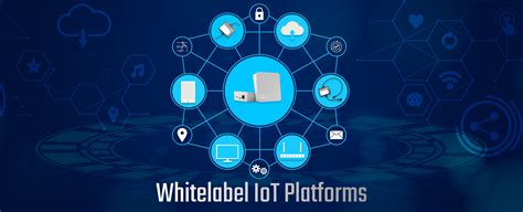 Mesh Networking Vs Traditional Networking A Comprehensive Comparison