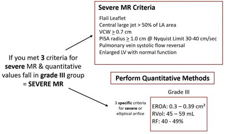 Ases Mitral Regurgitation Algorithm Simplified Algorithm Cardiac