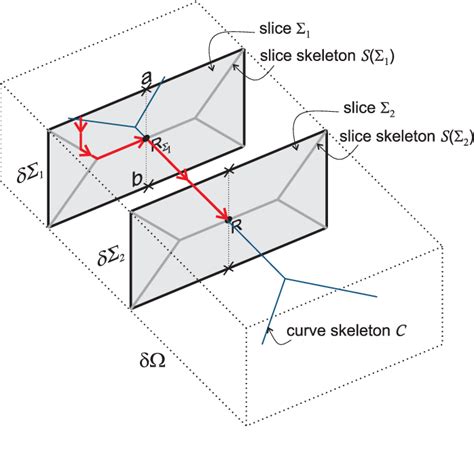 Figure 3 From Computing Multiscale Curve And Surface Skeletons Of Genus 0 Shapes Using A Global