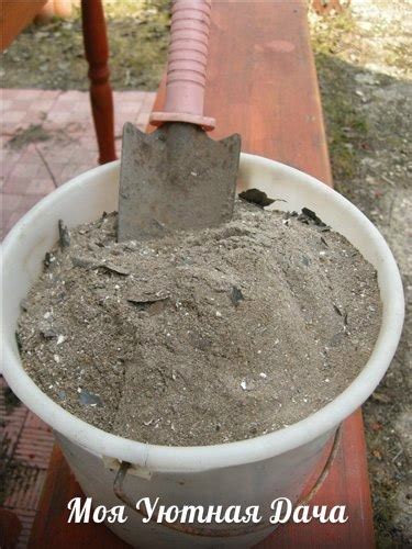 Хорошим подспорьем в борьбе с вредителями и болезнями сада и огорода является древесная зола