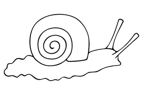 Premium Vector A Snail With A Shell Sea Gastropod Mollusk Shell In The Form Of A Spiral Hand