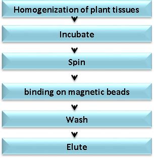 InoMag Magnetic Bead Plant DNA Extraction Kits Applied Genomics