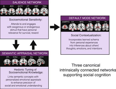 The Three Primary Intrinsically Connected Networks That Support Social Download Scientific